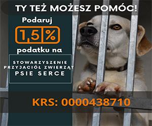 Jaworzno wiadomości, Jaworznicki Portal Społecznościowy - jaw.pl